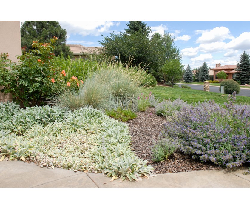 Colorado Springs Utilities Xeriscaping - All About Xeriscape