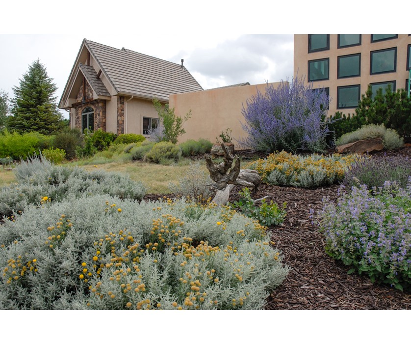 Colorado Springs Utilities Xeriscaping - Buffalograss Front Yard