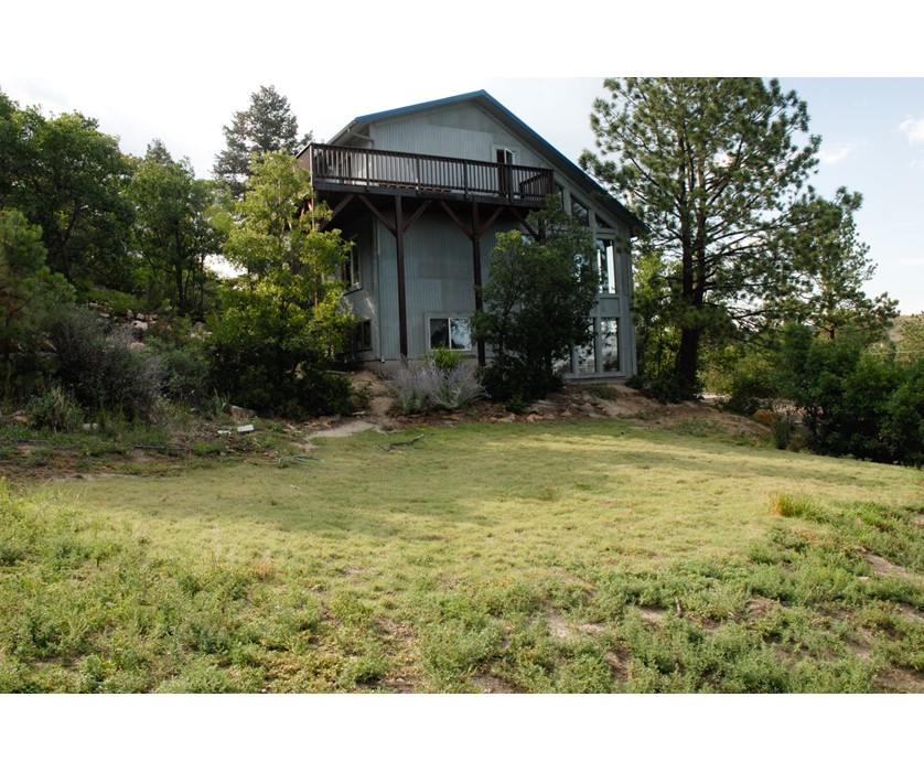 Colorado Springs Utilities Xeriscaping - CO Native Buffalograss