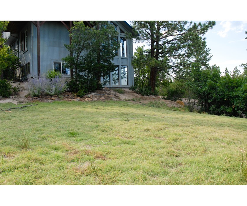 Colorado Springs Utilities Xeriscaping - CO Native Buffalograss