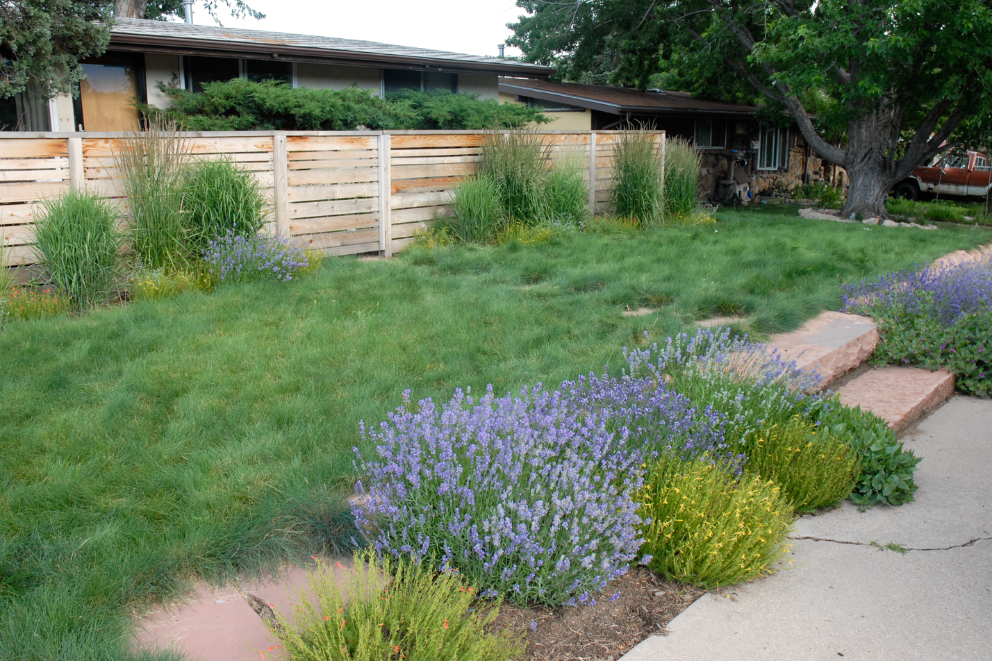 Colorado Springs Utilities Xeriscaping - Front Yards