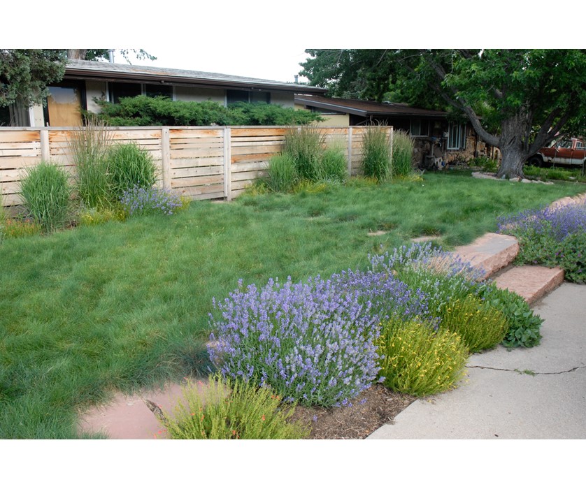 Colorado Springs Utilities Xeriscaping - Contemporary Xeriscape