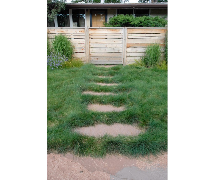 Colorado Springs Utilities Xeriscaping - Contemporary Xeriscape