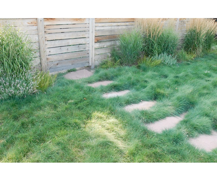 Colorado Springs Utilities Xeriscaping - Contemporary Xeriscape