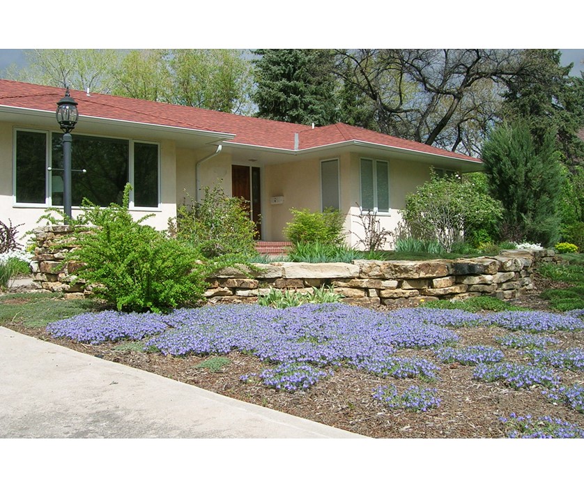 Landscaping Ground Cover