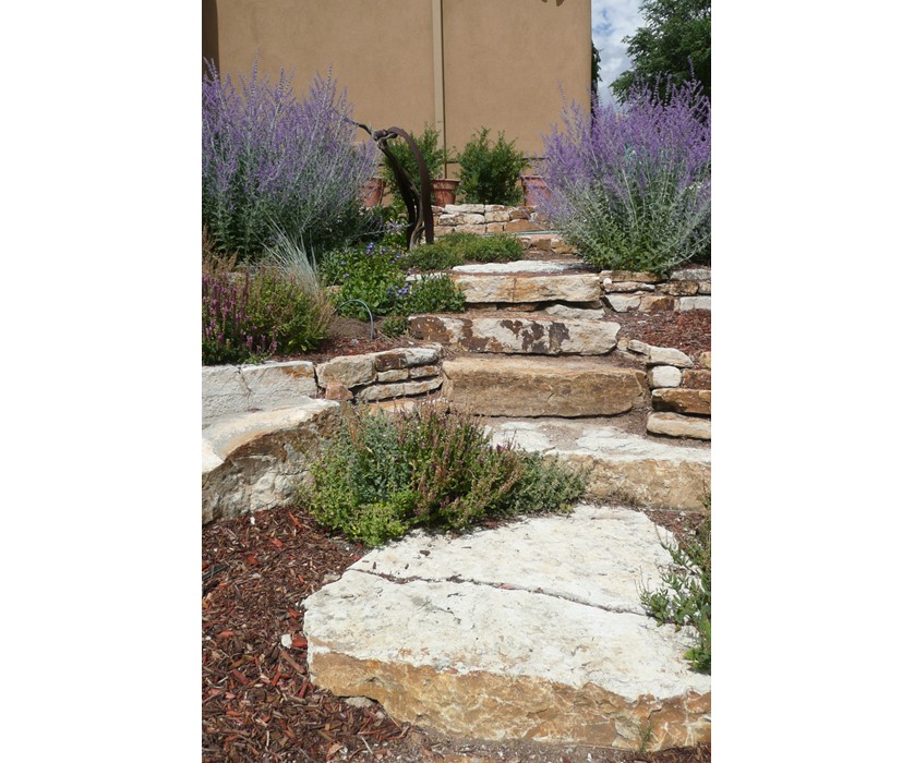Colorado Springs Utilities Xeriscaping - Structured Stone Xeriscape