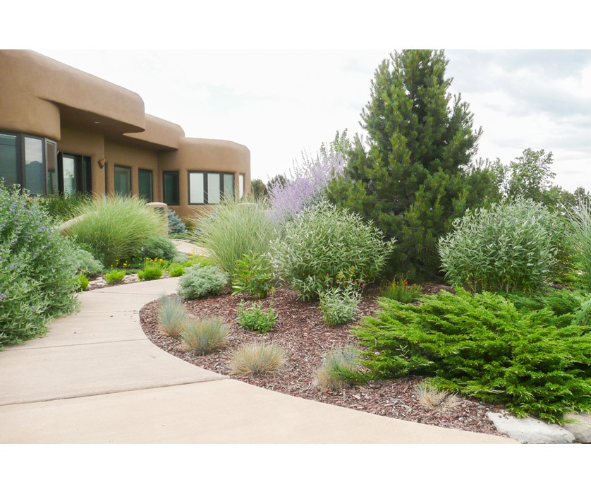 Colorado Springs Utilities Xeriscaping - Structured Stone Xeriscape