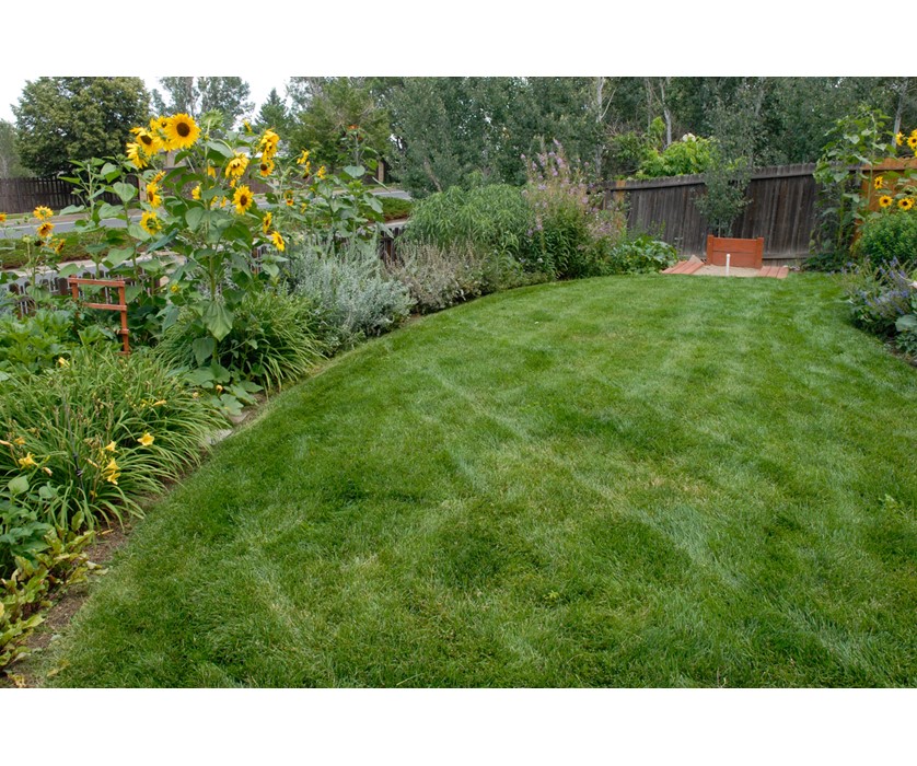 Colorado Springs Utilities Xeriscaping - Terraced Turf Backyard